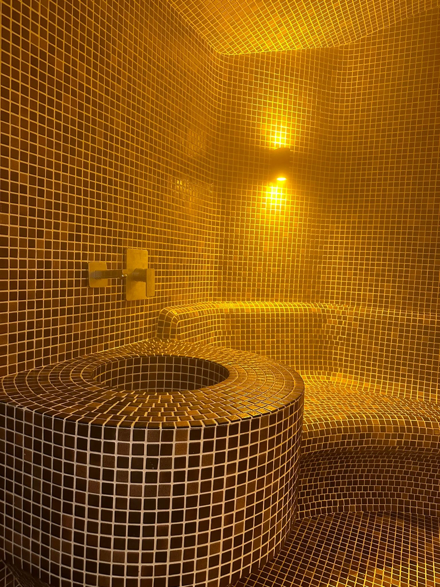 Steam room – İnsia Designing Wellness